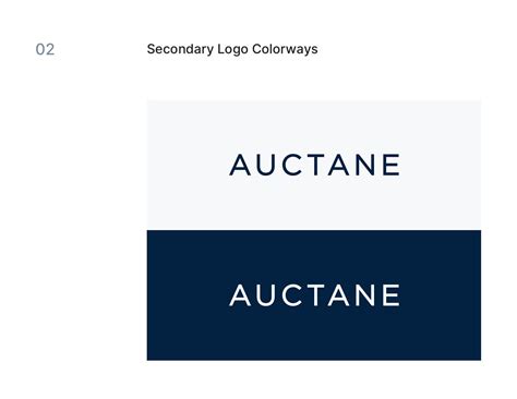 Auctane Branding Website Design — Cq