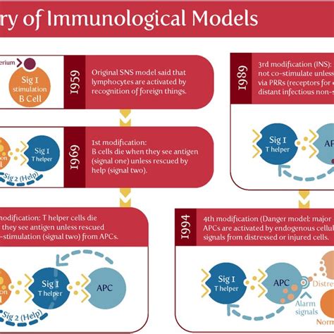 Matzingers Danger Model” Vs The Classical Theory Of Self Vs Download Scientific Diagram