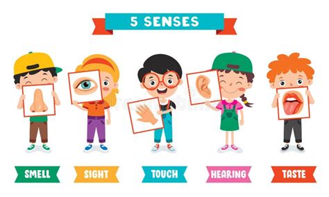 Five Senses Concept With Human Organs Stock Vector Illustration Of