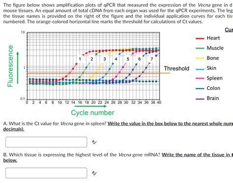 Solved The Figure Below Shows Amplification Plots Of Qpcr