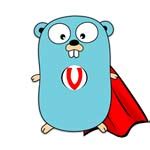 Gotcha Of Custom Type In Go Validator My Rabbit Hole In Programming