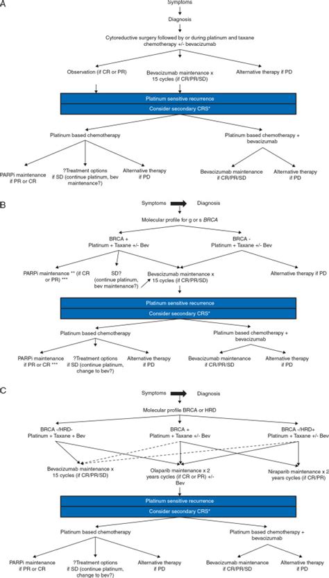 Ovarian Cancer Chemotherapy