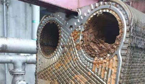 The Essential Role Of Turbidity Sensors In Water Quality Monitoring Wizsensor