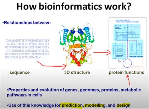 Shomu S Biology Bioinformatics Part 1 What Is Bioinformatics