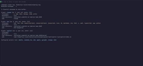 warning multiple different client offset encodings detected for buffer
