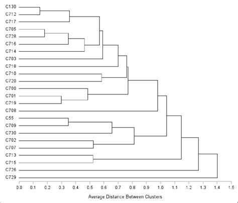 —dendrogram generated using cluster analysis based on crown