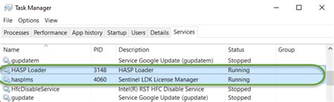 Trouble Shooting In Case Of Network License Problems Digital Surf