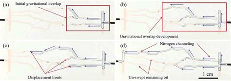 Dynamic Flow Behaviors Of Nitrogen Flooding In The Multiple Cross Download Scientific Diagram