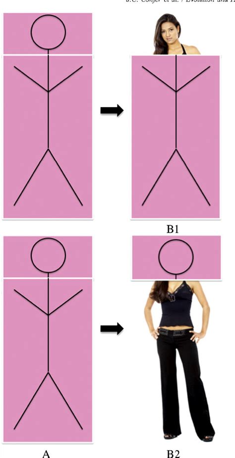 Figure From More Than Just A Pretty Face Men S Priority Shifts Toward Bodily Attractiveness