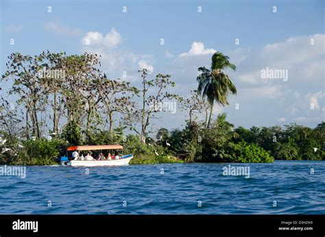 Guatemala Rio Dulce National Park Rio Dulce Sweet River Runs From