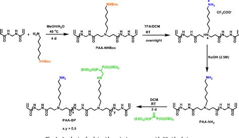 Figure 1 From Bisphosphonate Functionalized Polyamido Amine