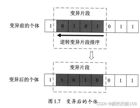 遗传算法求解0 1背包问题 csdn博客