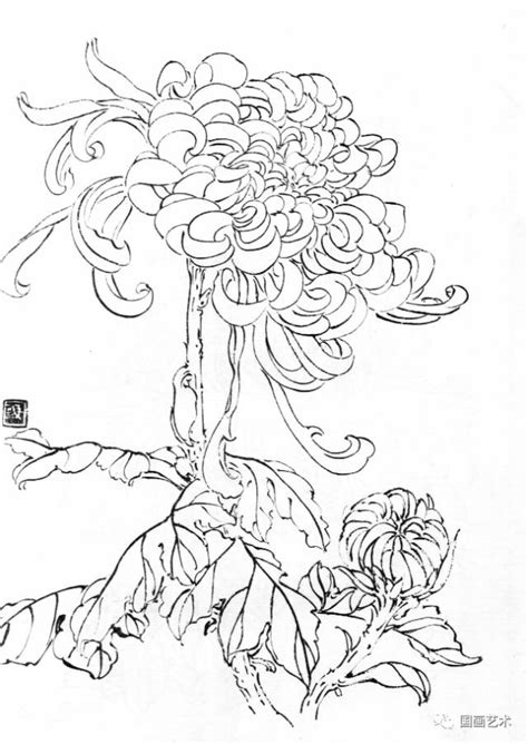 白描狮子 白描竹子 画狮子 第3页 大山谷图库