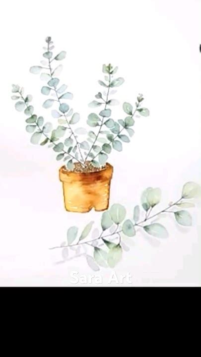유칼립투스 그림 Watercolor Drawing 플러스펜수채화 일러스트 Saraart Youtube
