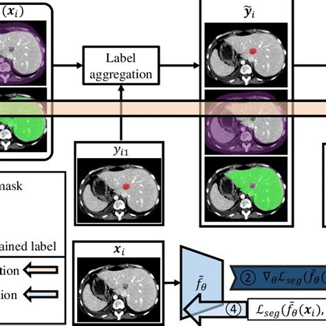 illustration of the training process of colab gω · is optimized to