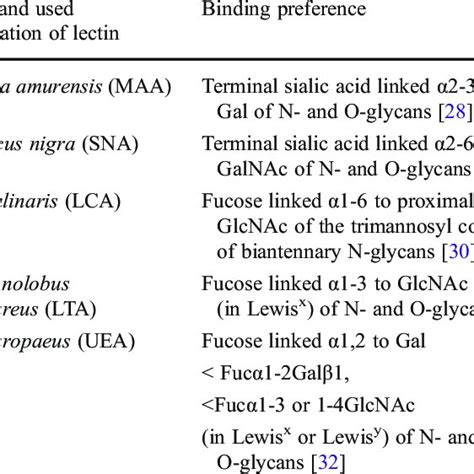 The Major Binding Specificities Of Used Lectins Download Table