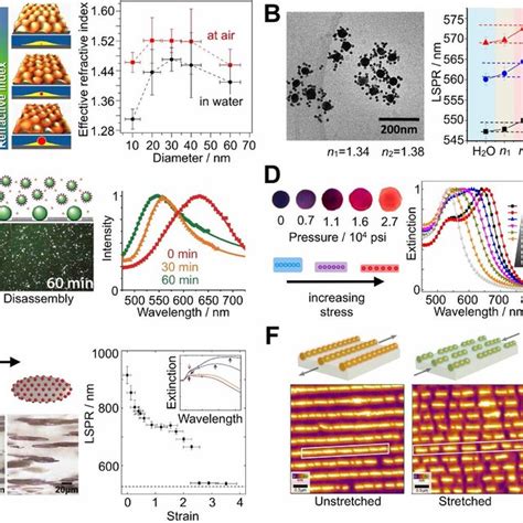 Sensing Concepts Of Ordered P Assemmlies And Defined Patterned Download Scientific Diagram