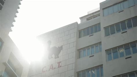 Nouman Shoukat Posted On Linkedin