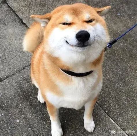 使用selenium遇到的问题 知乎