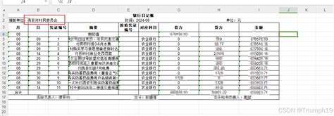 对同一文件夹下所有excel表进行相同操作（数据填充、删除、合并）写一个脚本用于处理跟脚本同一个目录下的所有excel表中的第一个功能表”动账明细 Csdn博客