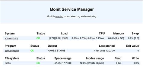 Server Monitoring With Monit Rselfhosted