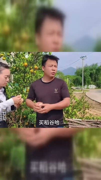 一块钱一斤的稻谷，小伙一口气买了1700多斤，可以吃一年 Youtube