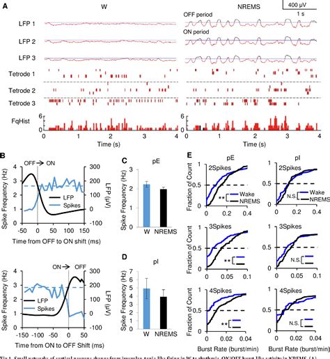 Figure 1 From Structure Of Cortical Network Activity Across Natural Wake And Sleep States In