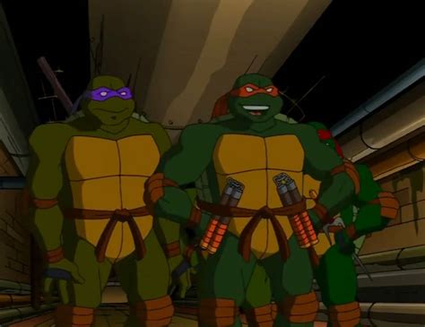 Tmnt 2003 Raph Mikey And Donnie 2 By Hedwieapotter On Deviantart
