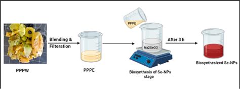 Figure 1 From Unveiling Antimicrobial And Insecticidal Activities Of Biosynthesized Selenium