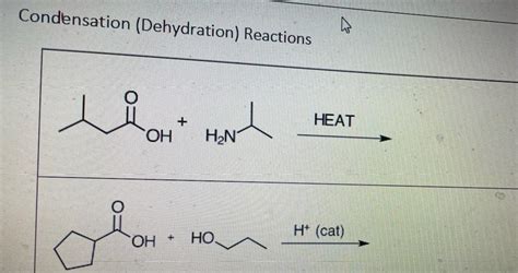 Solved Condensation Dehydration Reactions