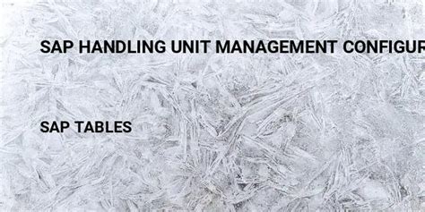 Sap Handling Unit Management Configuration Guide Pdf Table In Sap