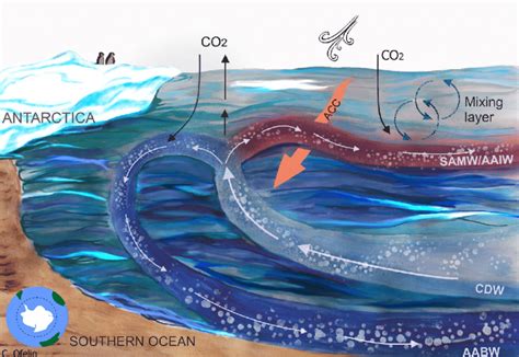 A Simplified Representation Of The Large Scale Circulation In The Download Scientific Diagram