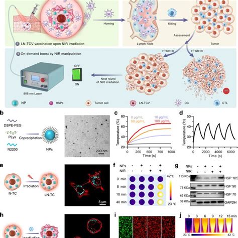 Strategy Of Using Photothermal Nanoparticle Adopted Whole Tumor Cell