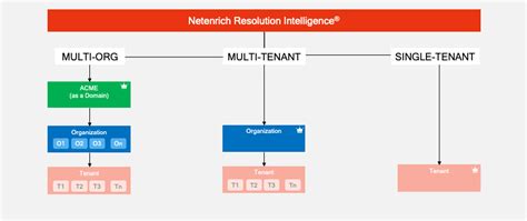 Roles And Permissions Netenrich