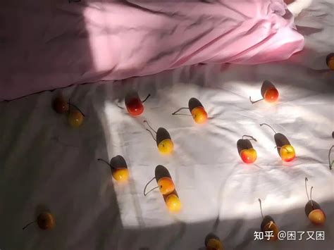 超详细MySQL下载安装教程免费社区版 知乎