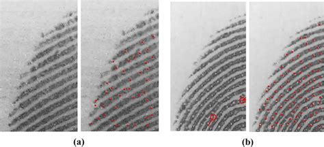 Pair Of Partial Latent Fingerprints With A No Minutiae Point Detected Download Scientific