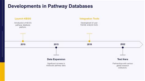 developments in pathway databases kegg ppt template st ai ss ppt sample