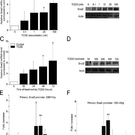 2378 Tetrachlorodibenzo P Dioxin Tcdd Regulates The Expression