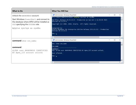 Step By Step Apex Installation On Tomcat Windows Server 2016 Pdf