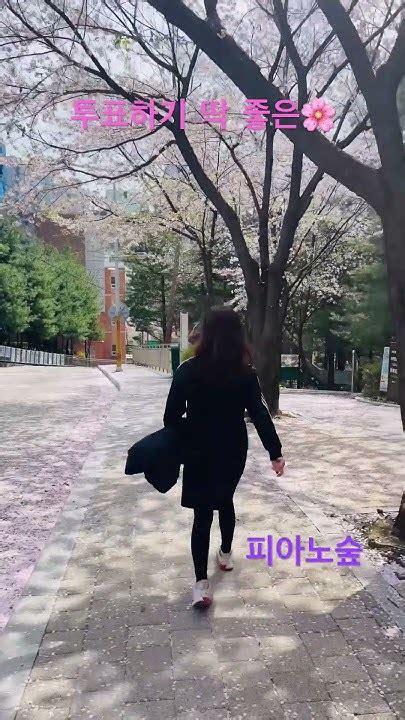 투표하기 딱 좋은 예쁜 봄날🌸투표해주세요 투표 투표합시다 봄날씨 Youtube