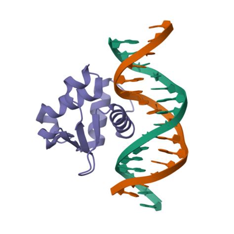 Rcsb Pdb 8e66 Etv6 H396y Variant Bound To Dna Containing The Sequence Ggaa
