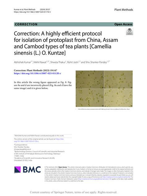 Pdf Correction A Highly Efficient Protocol For Isolation Of