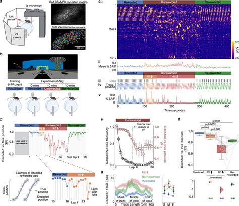 Diminished Reward Expectation Restructures Spatial Encoding In The Download Scientific Diagram