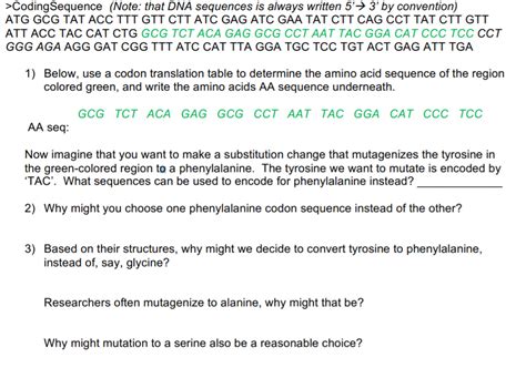 Solved Coding Sequence Note That Dna Sequences Is Always