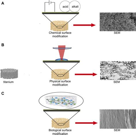 Advanced Surface Modification For 3d Printed Titanium Alloy Implant Interface Functionalization