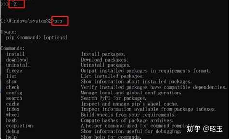 Python免费下载安装全流程 知乎