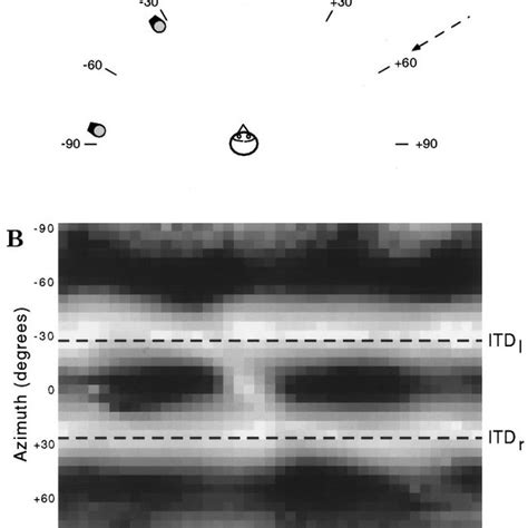 Spatial Correlation Surface Computed For Identical Sounds Emitted By