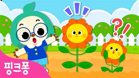 쑥쑥 자랐어요 ㅣ얼마나 자랐을까요 키도 마음도 매일매일 자라요ㅣ핑크퐁 유치원 동요ㅣ학습 동요ㅣ누리 과정ㅣ핑크퐁 인기동요 Youtube