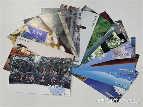 感恩母校行2023年我为浙农林大代言感恩母校行大学生寒假招生宣传社会实践活动物资发放 知乎