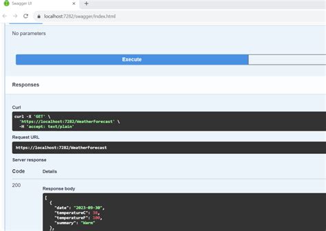 Mastering Global Exception Handling In Aspnet Core Web Apis Best